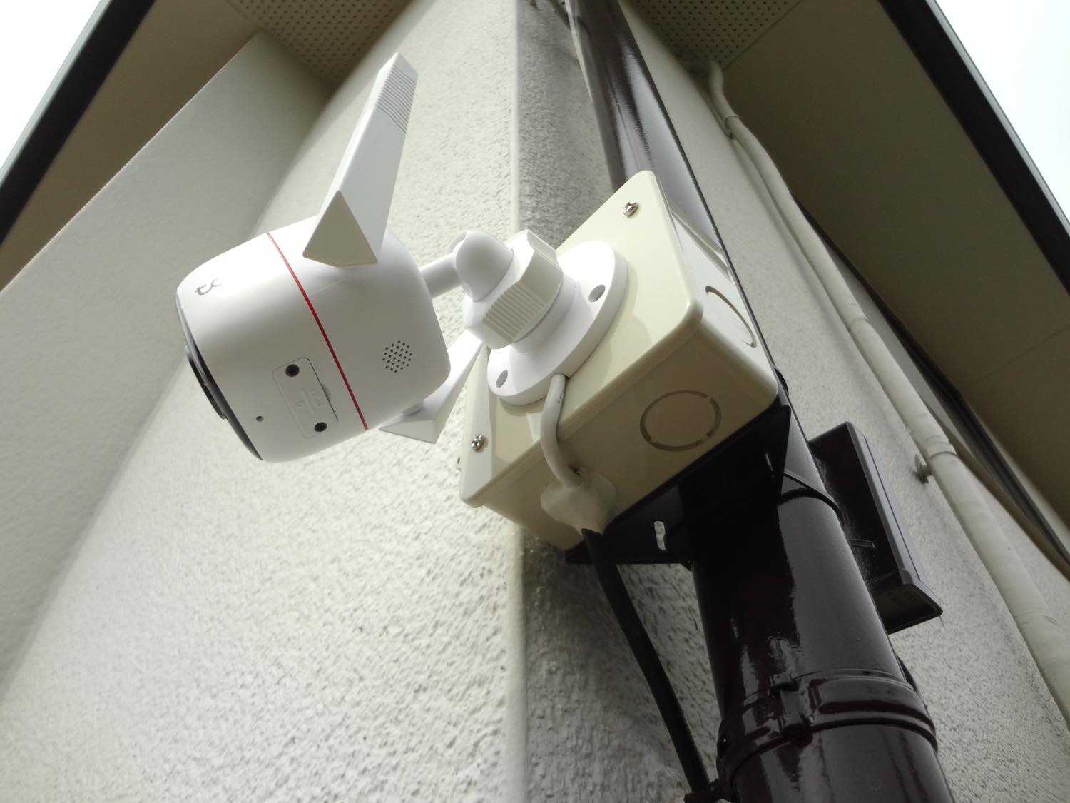 20230317-kotei-107C | 60+